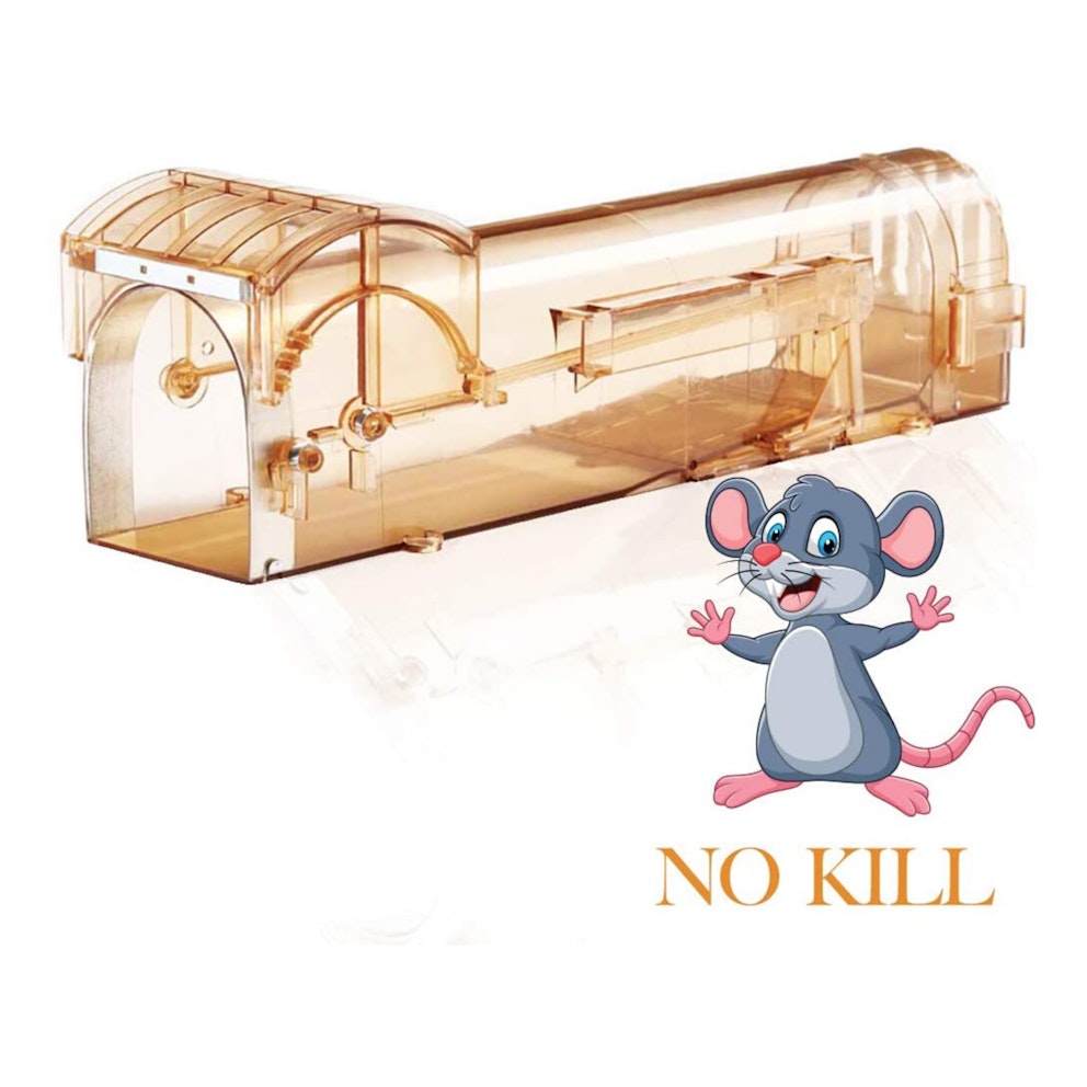 The best mouse traps that actually work (and are humane)