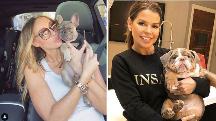 The celebs that love their pets - and their bond is ADORABLE 🐶