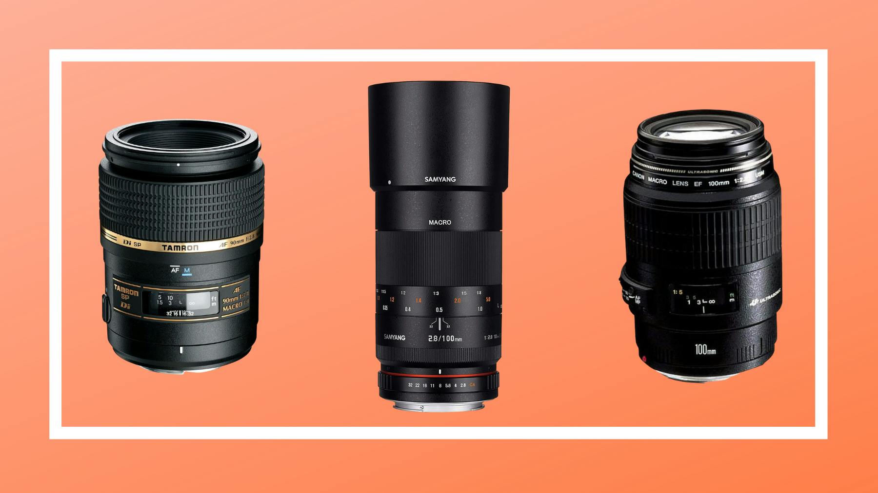 Best Macro Lenses Under £1000 | Tech | What's The Best
