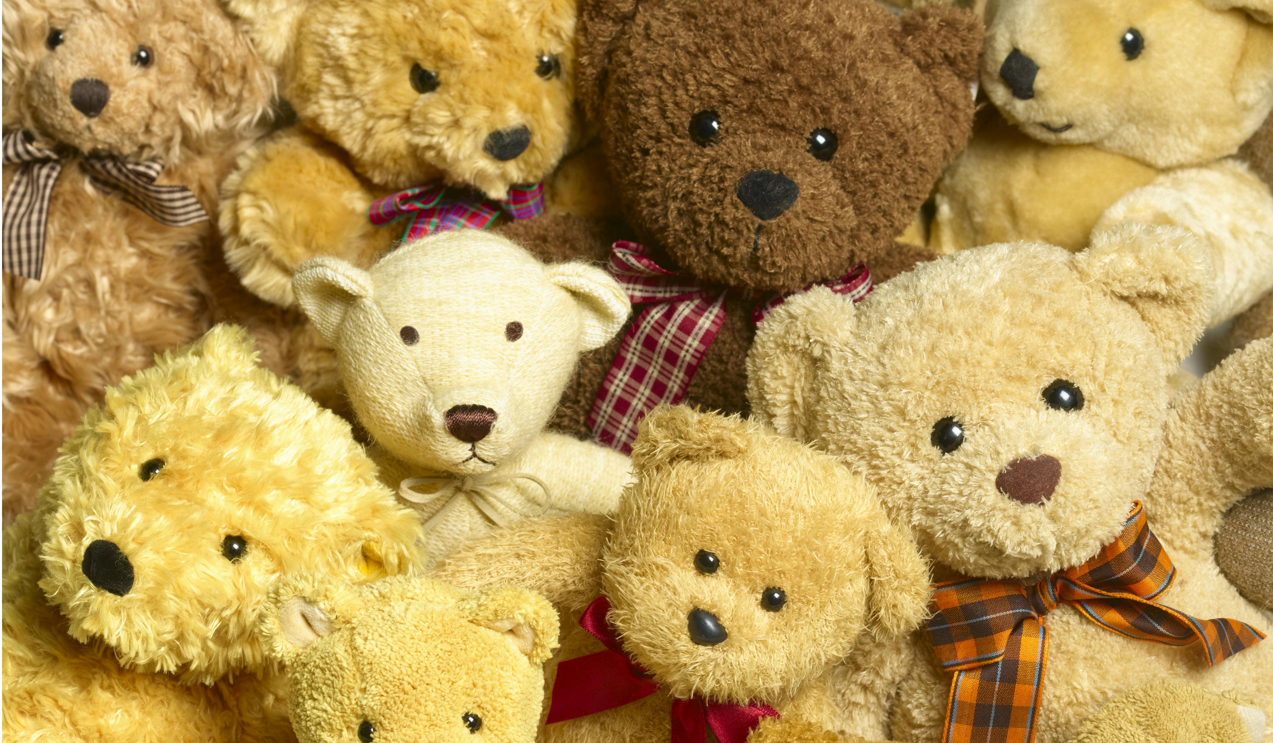 The history and magic of teddies
