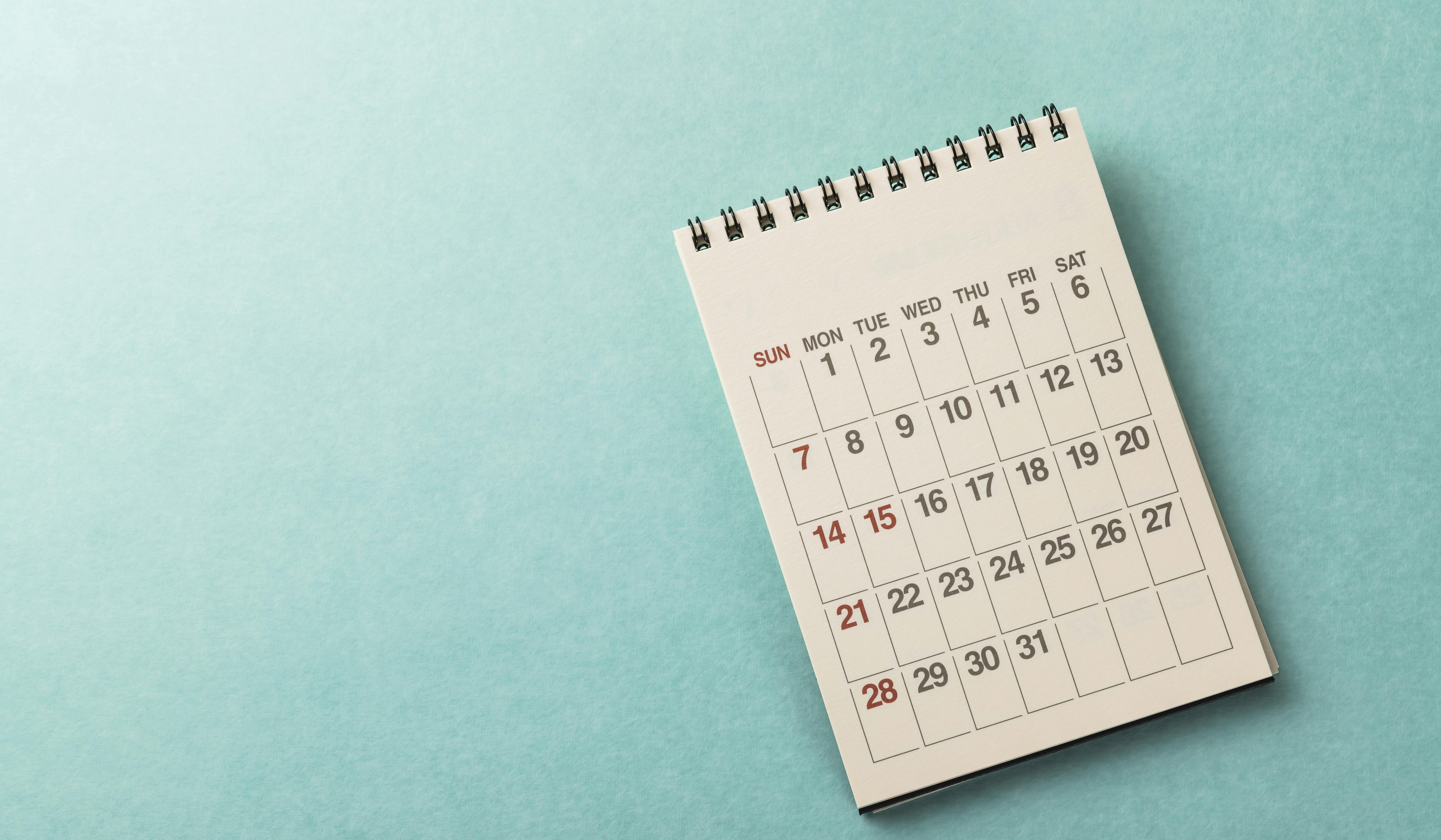 Bizarre National UK Days