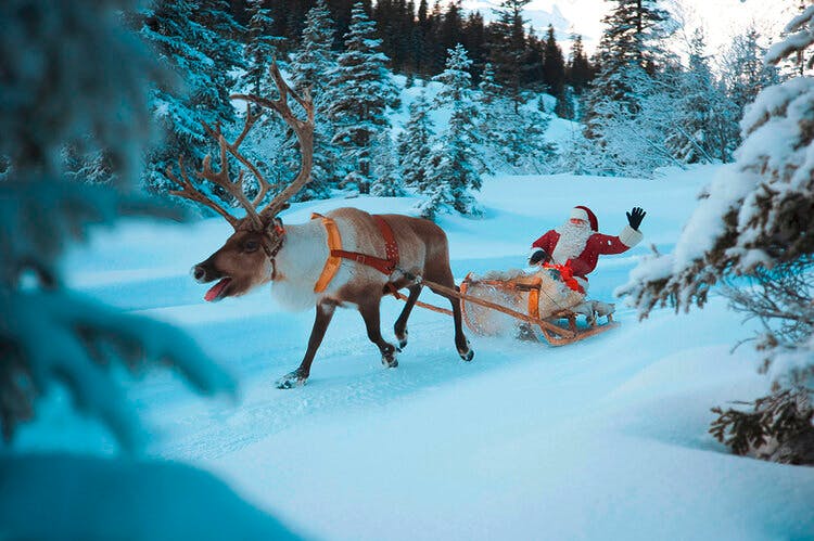 Magical Lapland