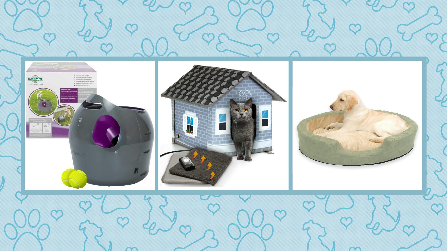 The Best Tech Gifts For Pets