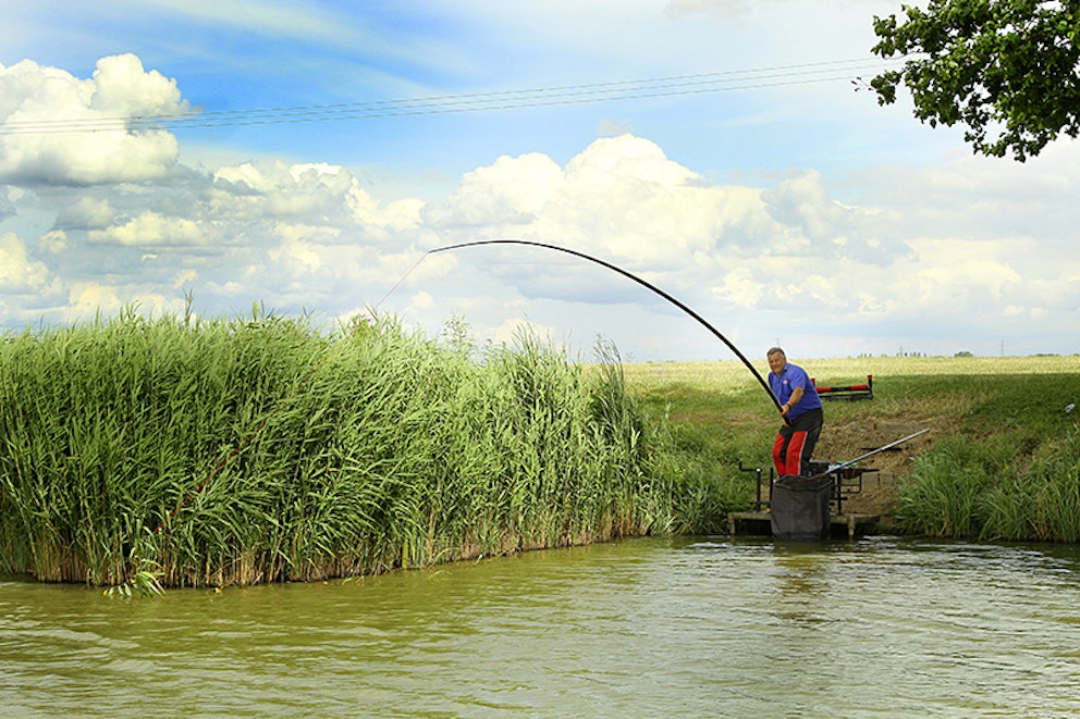 DAIWA POWER CARP 13M POLE REVIEW | Angling Times