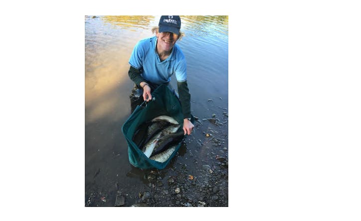 128LB OF CHUB TAKEN IN MEMORABLE WYE MATCH | Angling Times