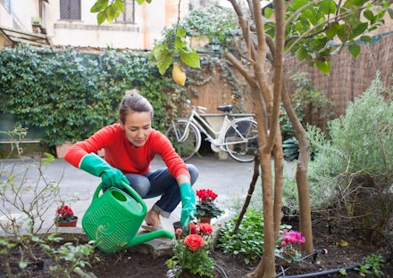 20 fun and cheap hobby ideas to do at home | Life | Yours