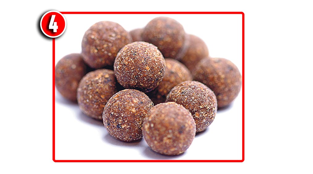 TOP 5 BARBEL BAITS | Angling Times