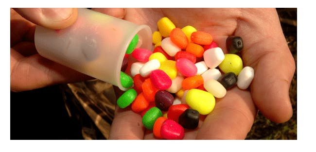 SWEETCORN – ONE OF THE BEST COARSE AND CARP FISHING BAITS | Angling Times