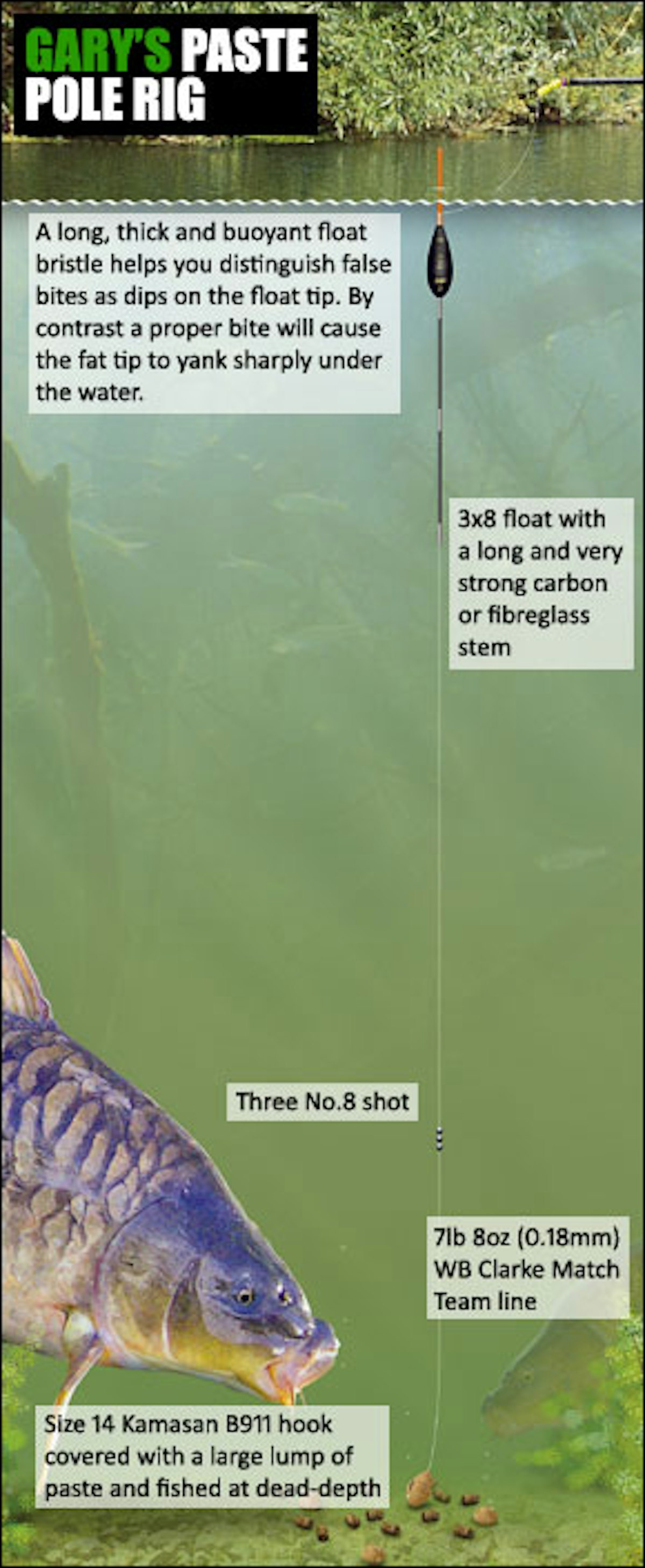 HOW TO USE PASTE | Angling Times