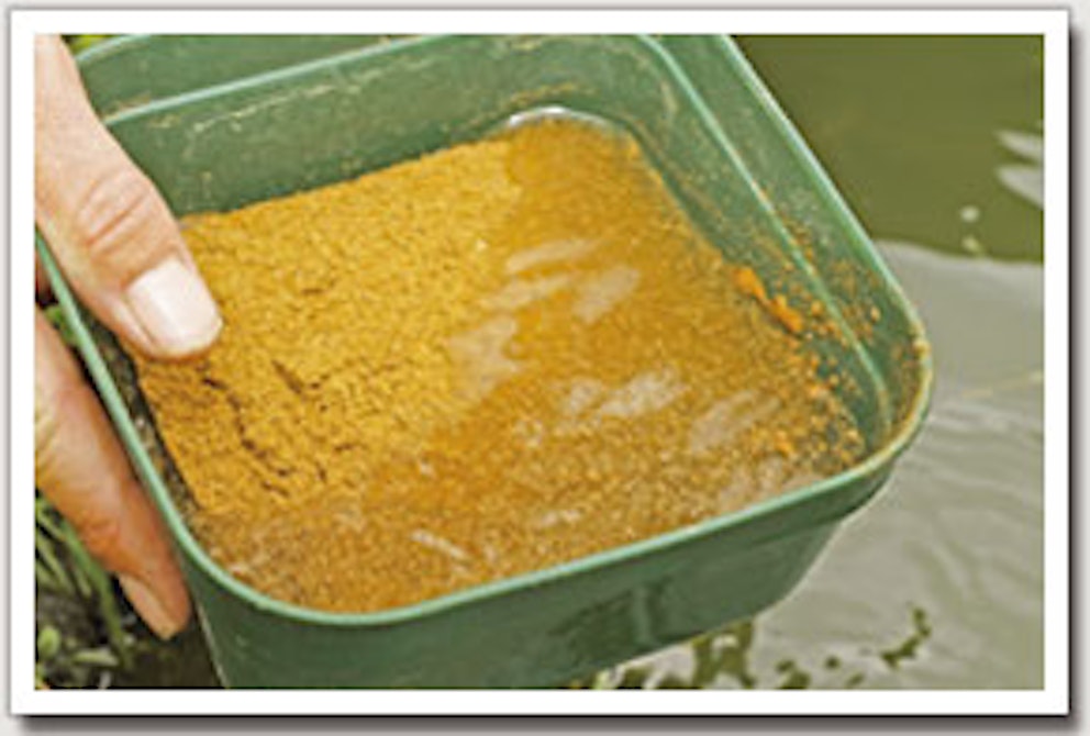 HOW TO USE PASTE | Angling Times