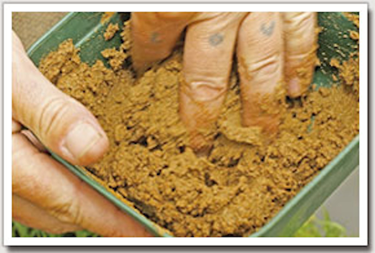 HOW TO USE PASTE | Angling Times