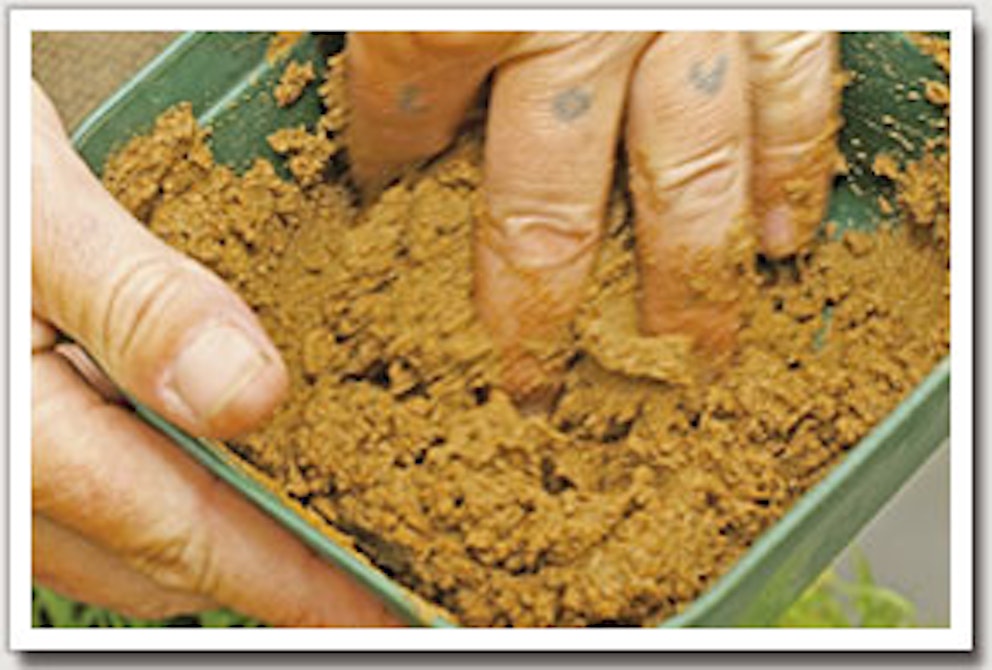 HOW TO USE PASTE | Angling Times