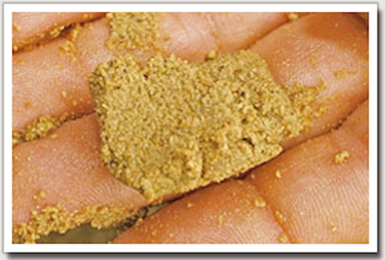 HOW TO USE PASTE | Angling Times