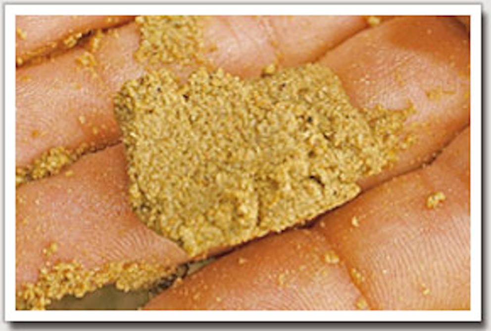 HOW TO USE PASTE | Angling Times