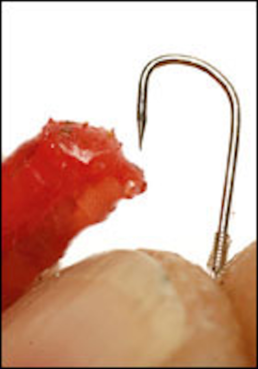 HOW TO HOOK MAGGOTS THE RIGHT WAY | Angling Times