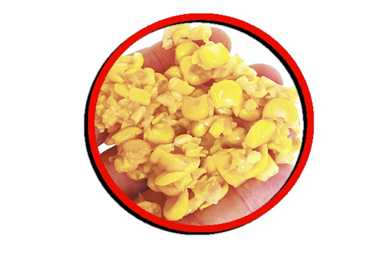 SIX EASY STEPS FOR USING CORN | Angling Times