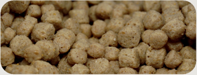 PELLETS – THE PERFECT FISHING FEED AND BAIT | Angling Times