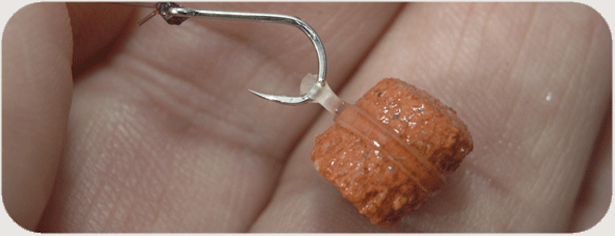 PELLETS – THE PERFECT FISHING FEED AND BAIT | Angling Times