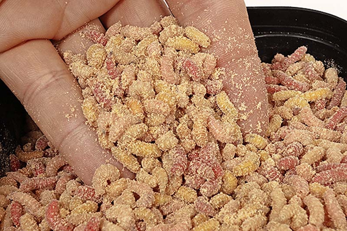 The best baits for perch fishing | Angling Times