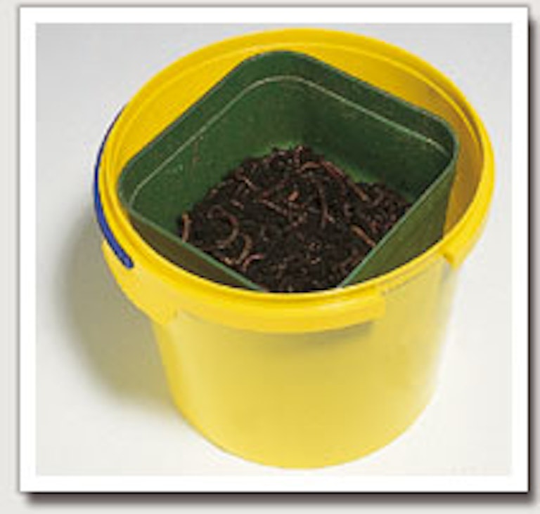 HOW TO LOOK AFTER YOUR LOBWORMS AND REDWORMS | Angling Times