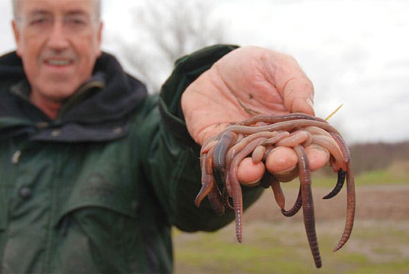 CATCHING BIG FISH WITH LOBWORMS AS BAIT | Angling Times