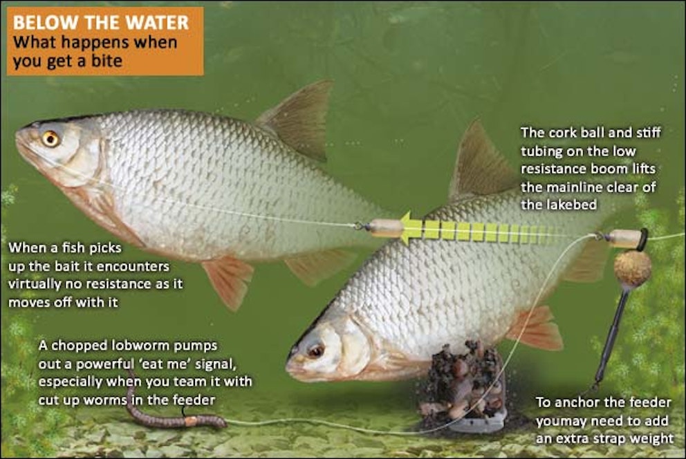 CATCHING BIG FISH WITH LOBWORMS AS BAIT | Angling Times