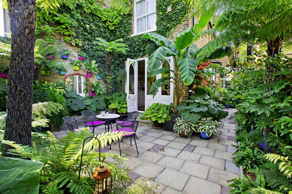 THE JUNGLE GARDEN | Garden Answers