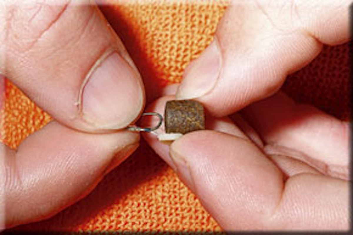 HOW TO RIG AND FISH WITH A PELLET WAGGLER | Angling Times