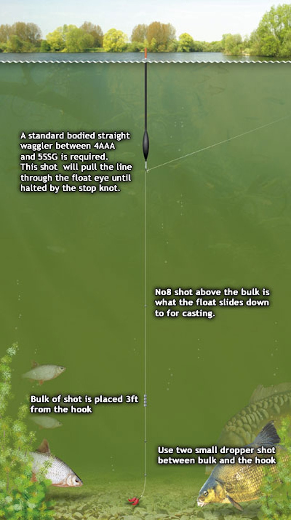 HOW TO FISH AND CREATE A SLIDER FLOAT RIG | Angling Times