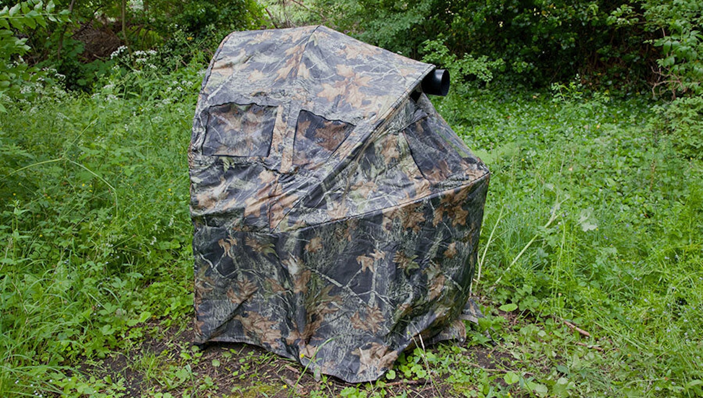 GET STARTED IN BIRDWATCHING | Features | Bird Watching