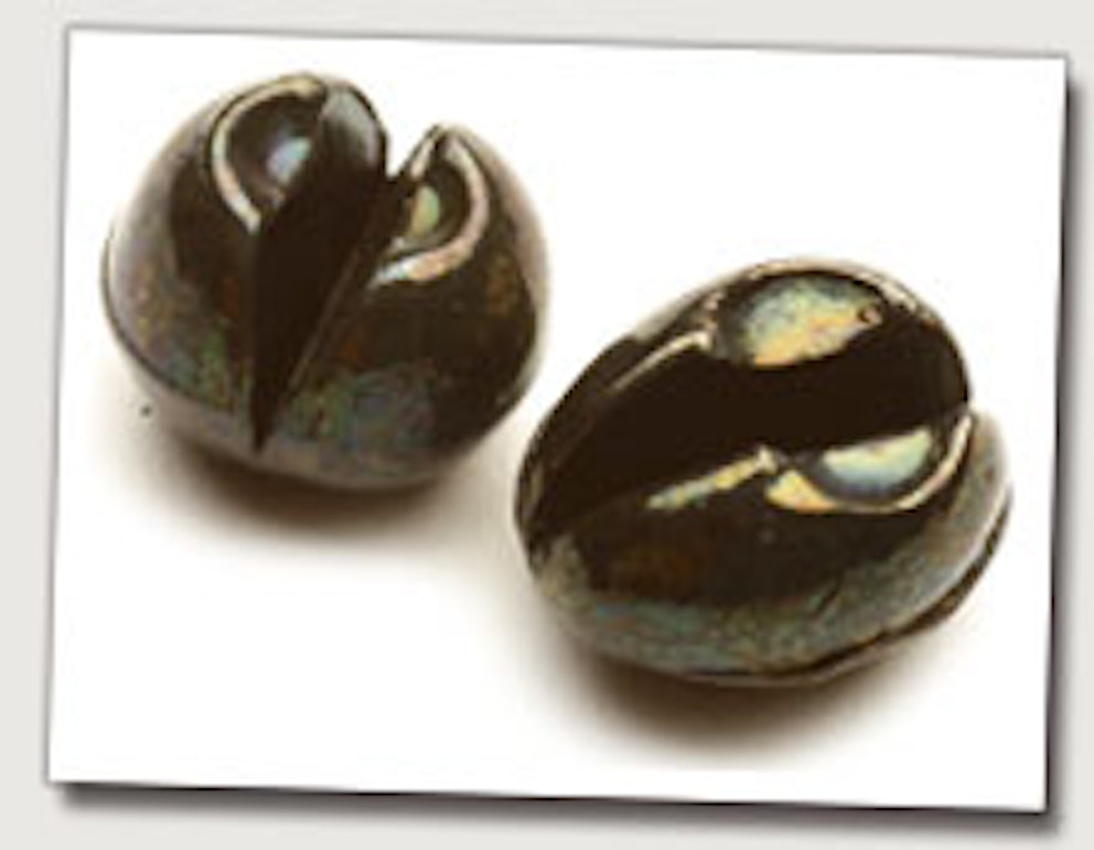 GUIDE TO SHOT | Angling Times