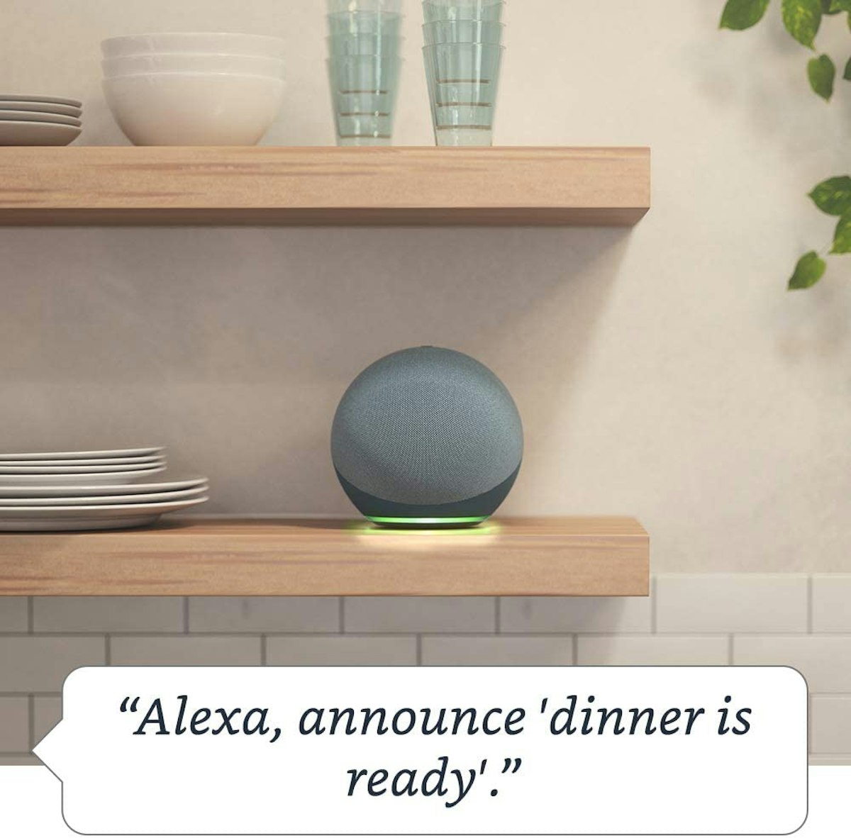 New Amazon Alexa and Echo Devices for 2020