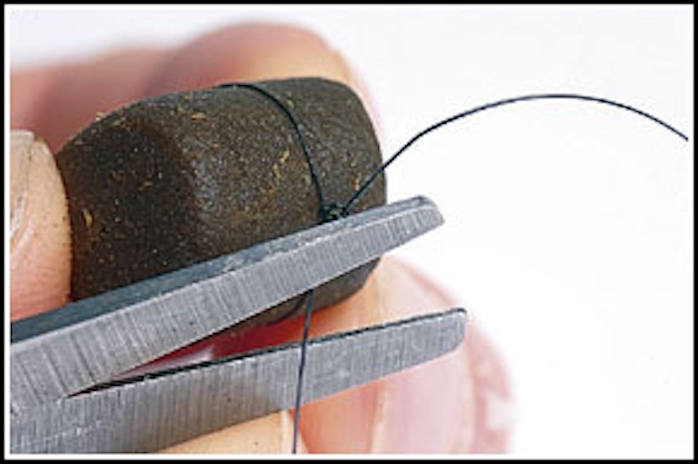 HAIR-RIGGING PELLETS USING THE LASSO METHOD | Angling Times