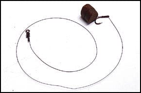 HAIR-RIGGING PELLETS USING THE LASSO METHOD | Angling Times