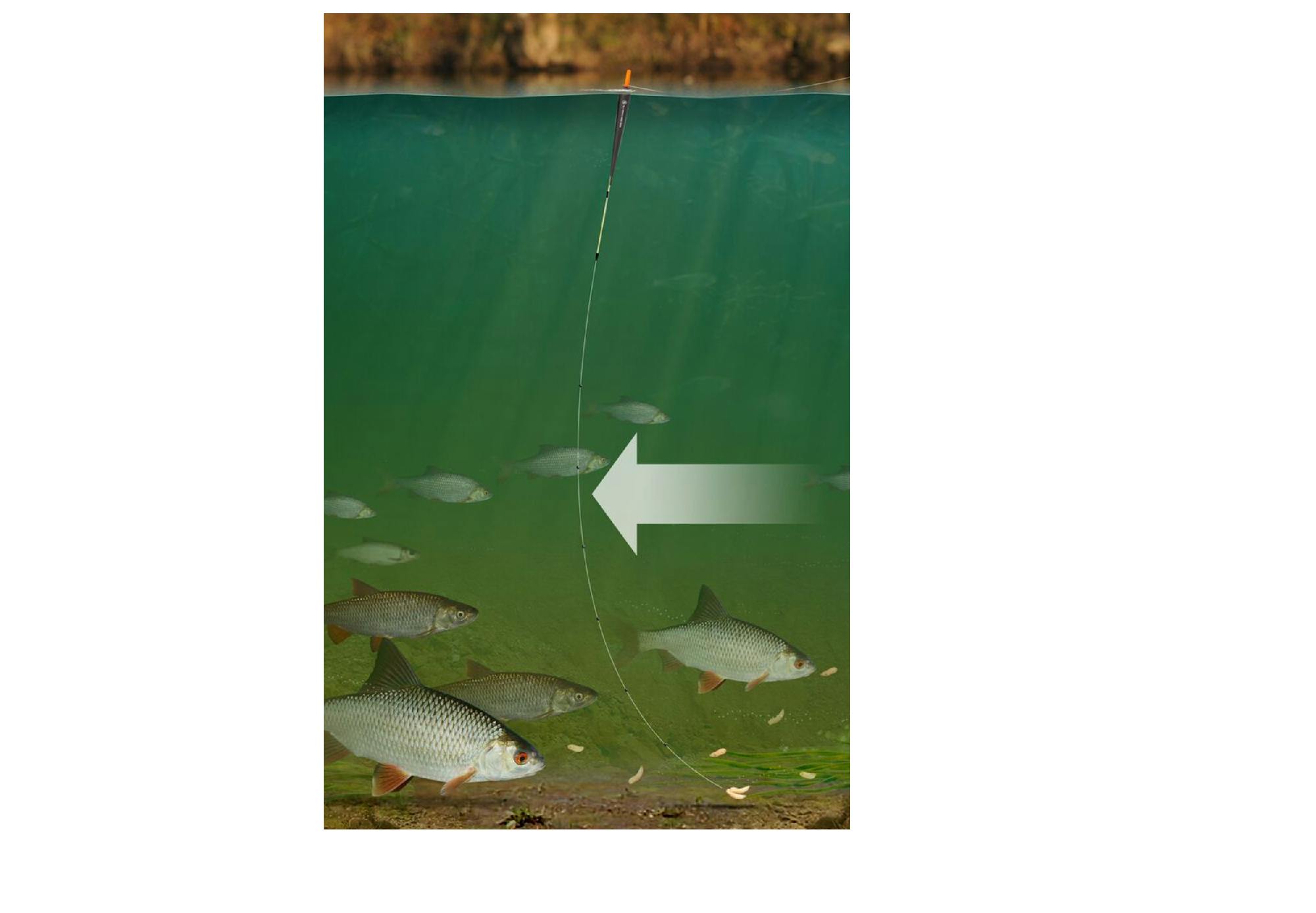 RIVER FISHING TIPS | HOW TO SHOT A STICK FLOAT – KELVIN TALLETT ...