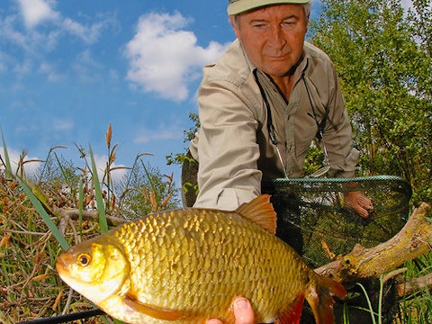 40 OF THE BEST RIVER FISHING TIPS | Angling Times