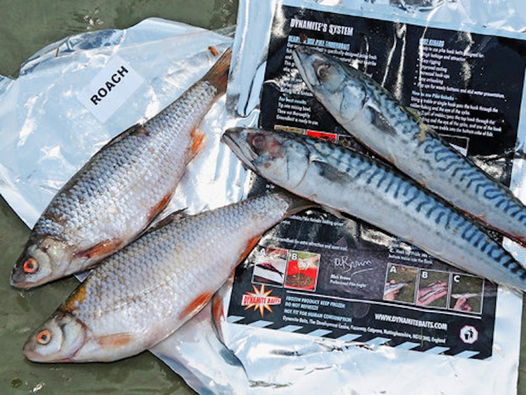 40 OF THE BEST RIVER FISHING TIPS | Angling Times