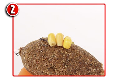 SIX STEPS TO THE PERFECT HAIR RIG | Angling Times