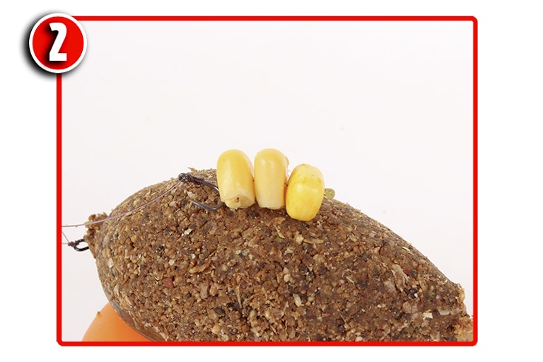 SIX STEPS TO THE PERFECT HAIR RIG | Angling Times