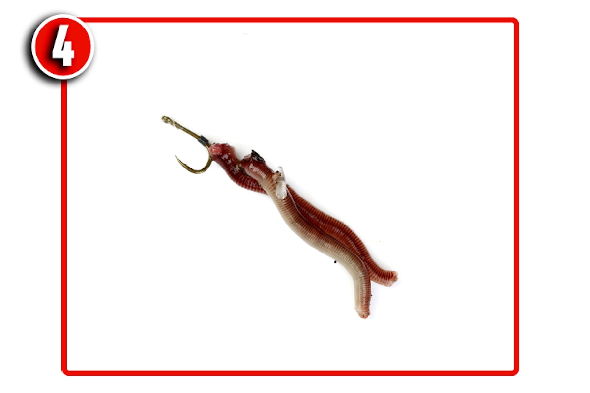 SIX STEPS TO THE PERFECT HAIR RIG | Angling Times