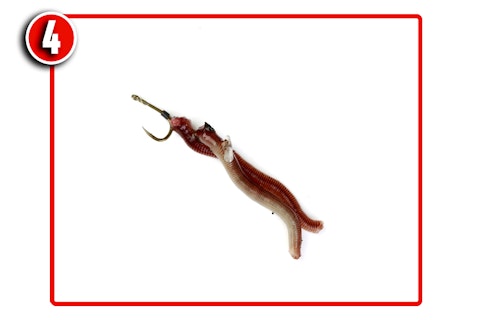 SIX STEPS TO THE PERFECT HAIR RIG | Angling Times