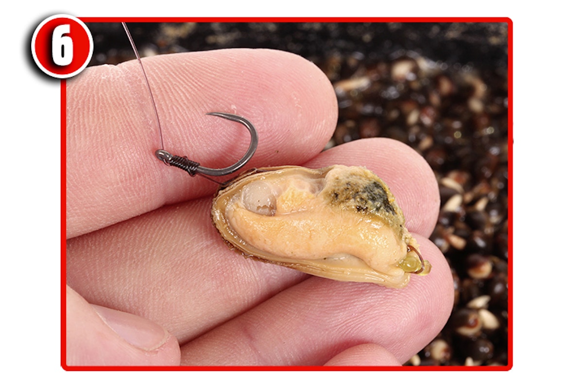 SIX STEPS TO THE PERFECT HAIR RIG | Angling Times