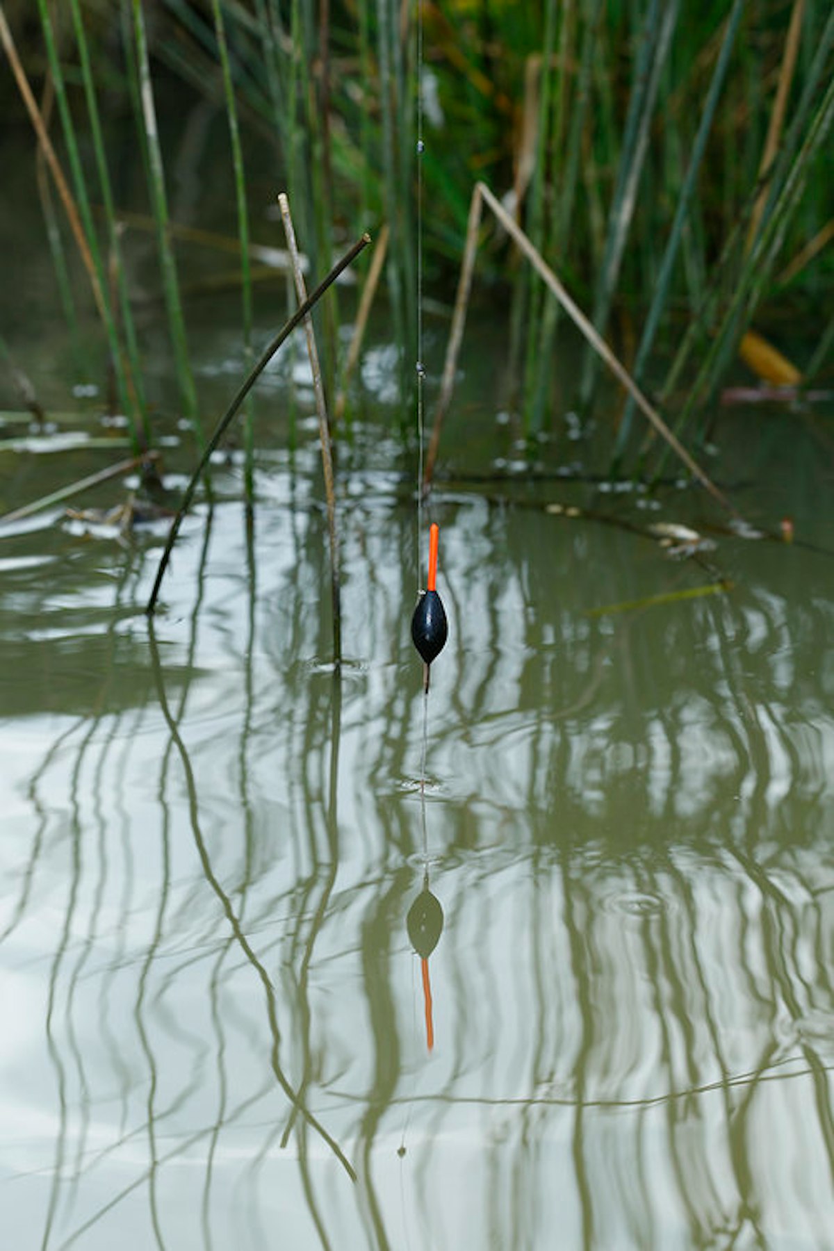 TOP 10 POLE FISHING TIPS | Angling Times