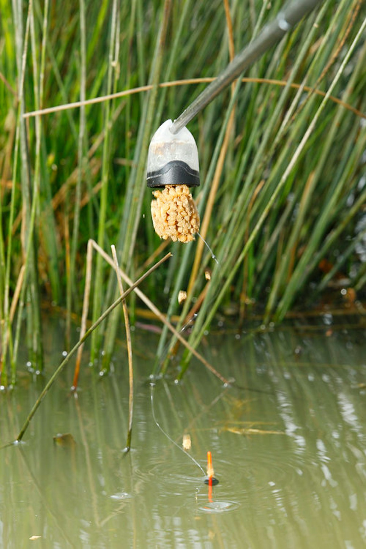 TOP 10 POLE FISHING TIPS | Angling Times