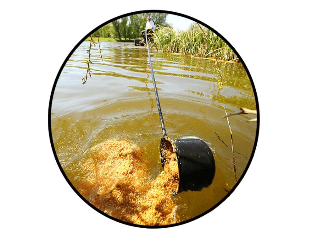 STEVE RINGER’S AUTUMN MARGIN FISHING MASTERCLASS | Angling Times