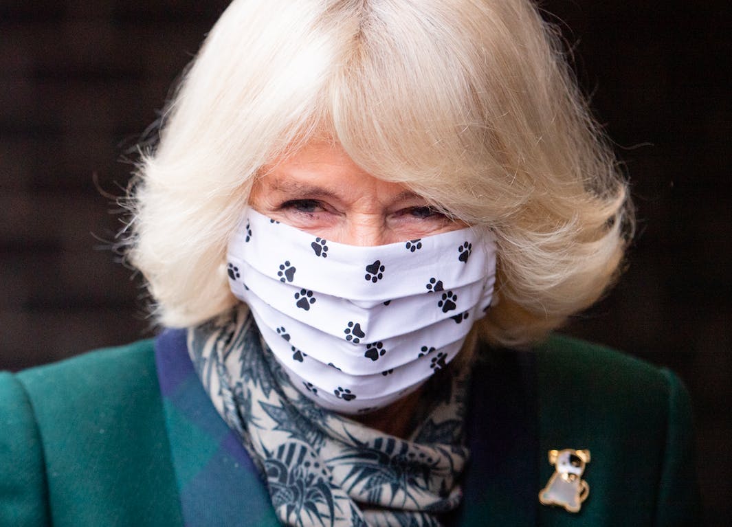 The Duchess Of Cornwall Has The Most Amazing Mask Collection