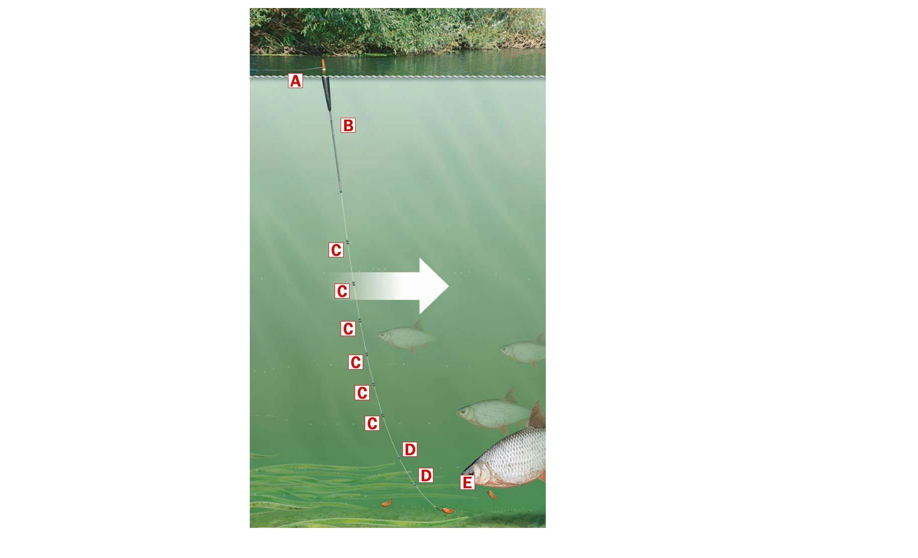 HOW TO TIE A STICKFLOAT RIG IDEAL FOR TROTTING ON SLOW FLOWING RIVERS ...
