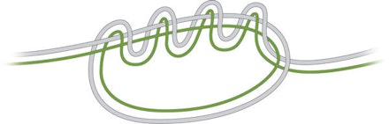 Waterknot-step-3.jpg