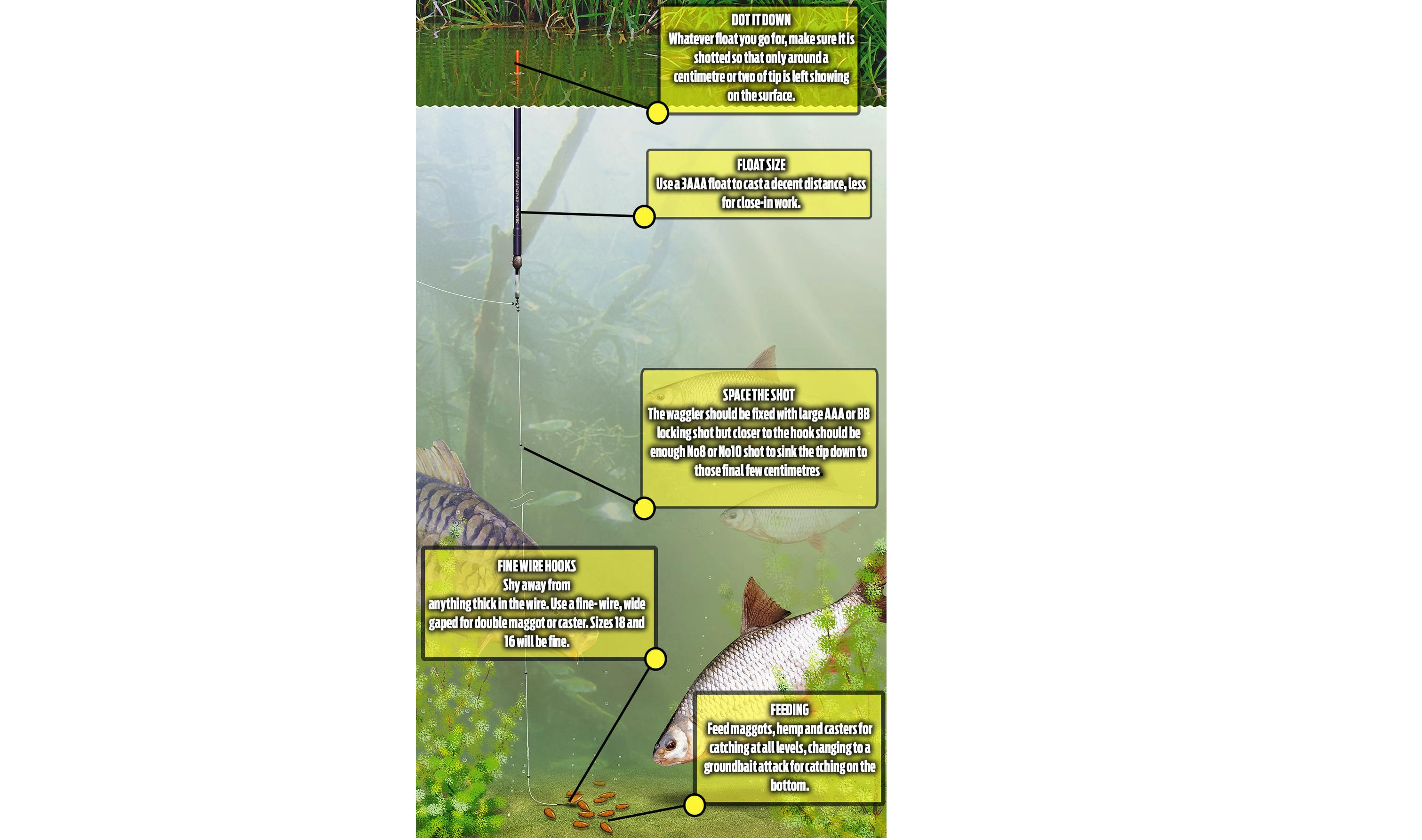 THREE PELLET WAGGLER RIGS TO FISH THIS WEEKEND! | Angling Times