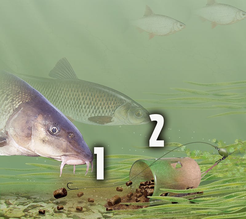 HOW TO TIE | THE PELLET FEEDER RIG | Angling Times